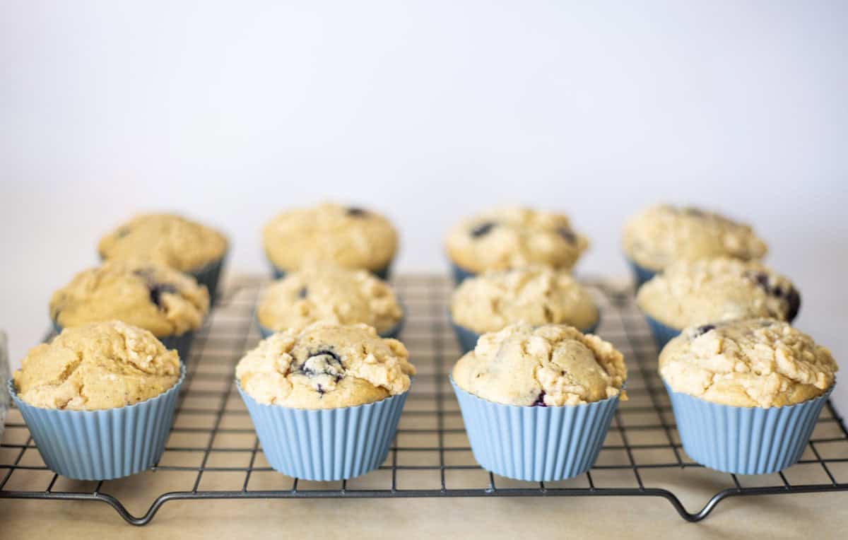 Easy Sourdough Blueberry Muffins Recipe (with Discard) - Hopewell Heights