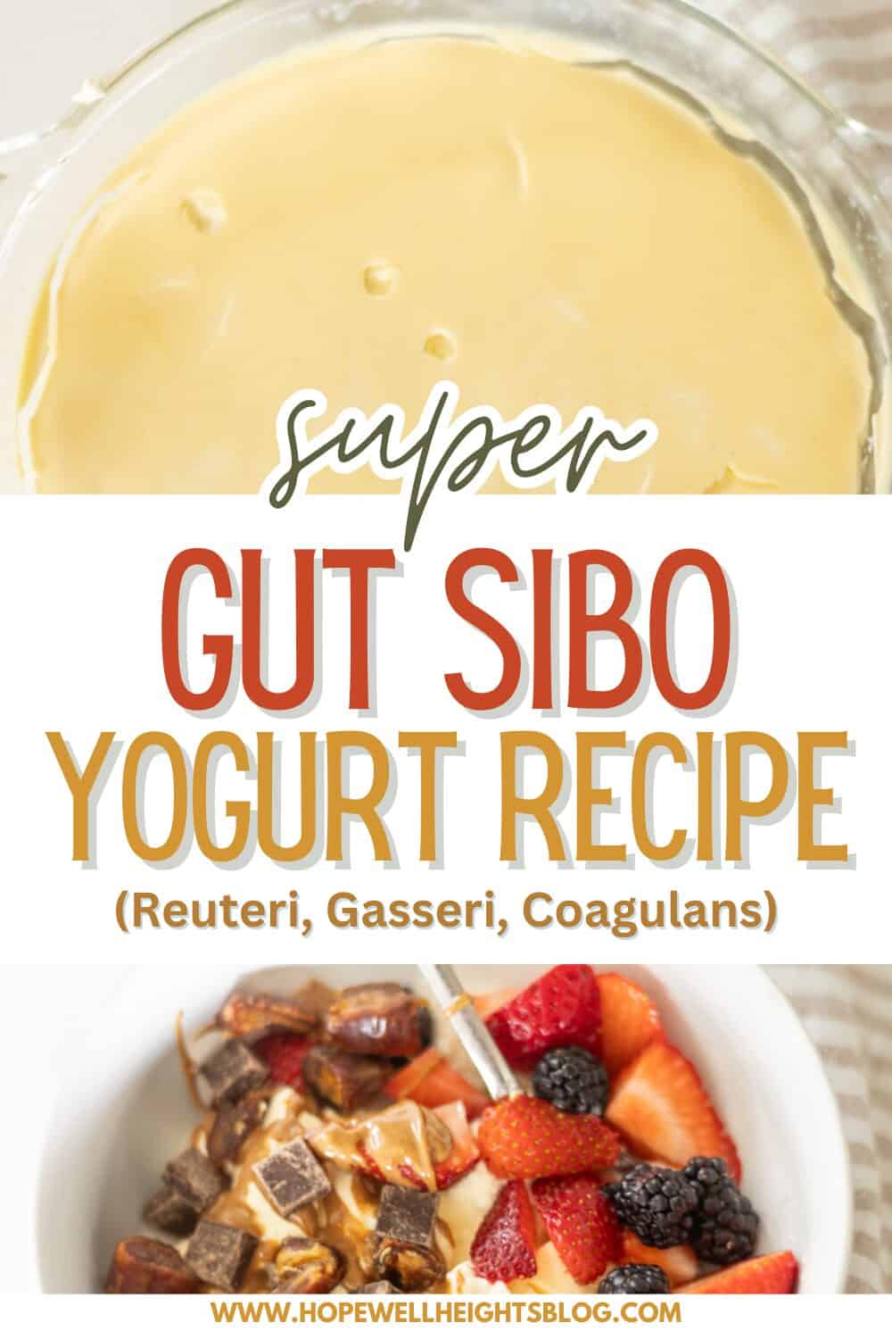 Super Gut SIBO Yogurt Recipe (Reuteri, Gasseri, Coagulans) - Hopewell Heights